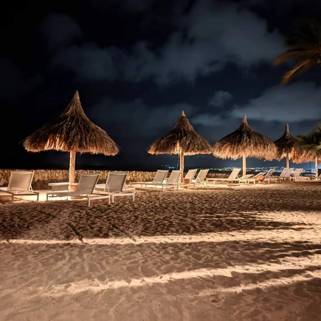 Bonaire, uma ilha deslumbrante no Caribe! - O Mundo Diplomático